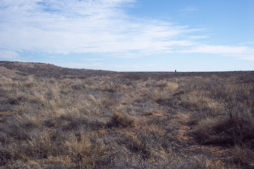 New Mexico Ranches For Sale - Bar M Real Estate selling Farms and ...