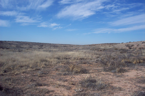 New Mexico Ranches For Sale - Bar M Real Estate selling Farms and ...