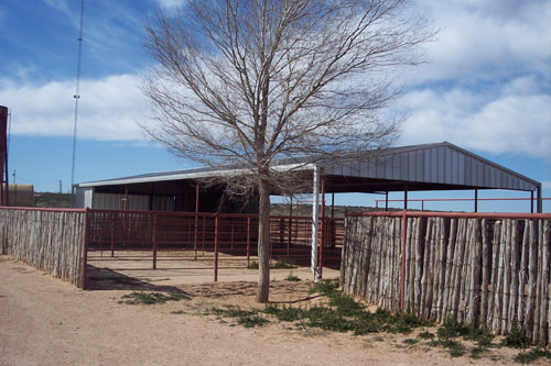 New Mexico Ranches For Sale - Bar M Real Estate selling Farms and ...