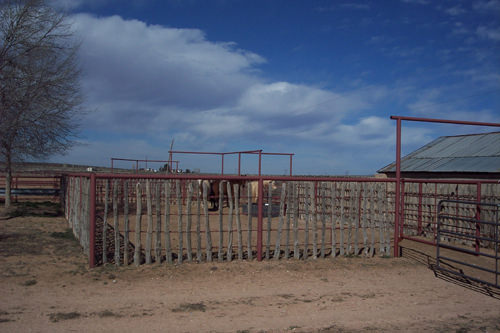 New Mexico Ranches For Sale - Bar M Real Estate selling Farms and ...